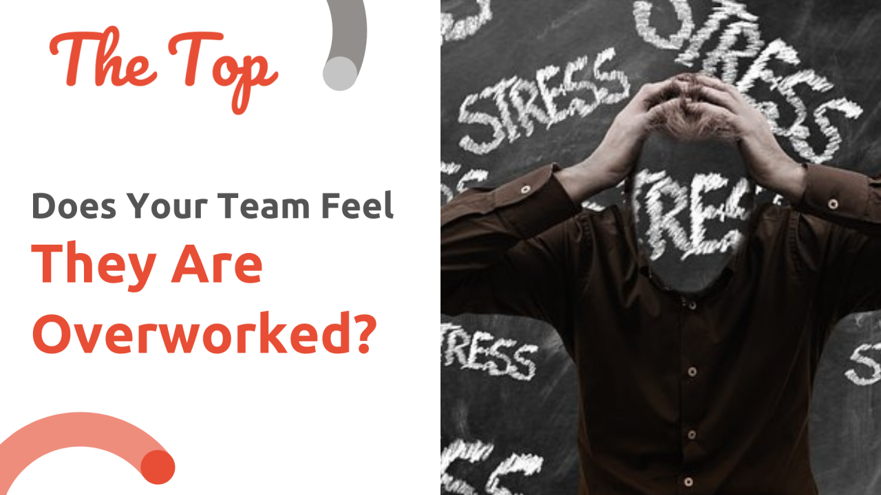 Does your team feel they are overworked? - Risely