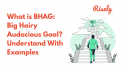 What is BHAG: Big Hairy Audacious Goal? Understand With Examples - Risely