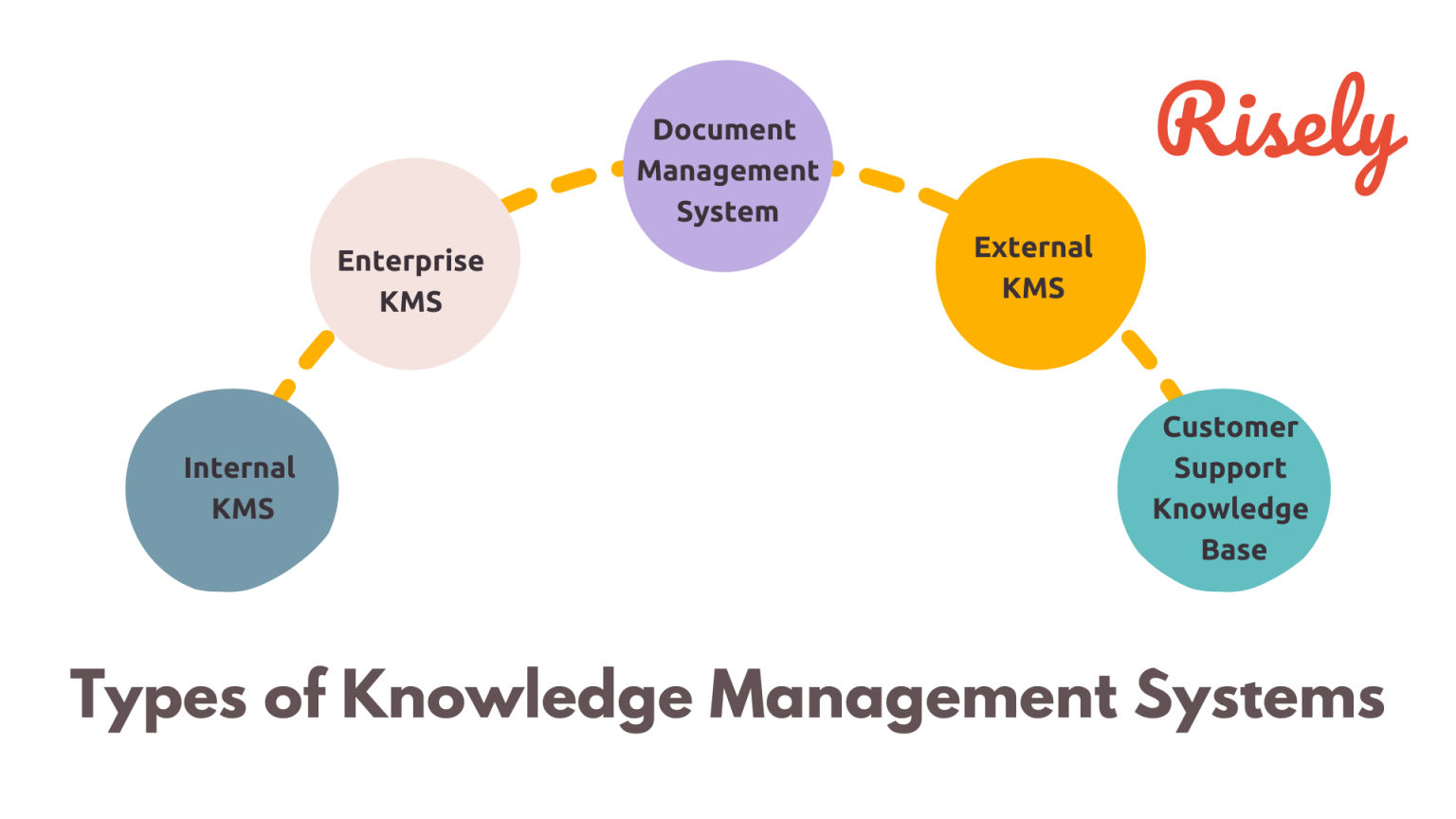 5 Top Examples of Knowledge Management Systems for 2023 - Risely
