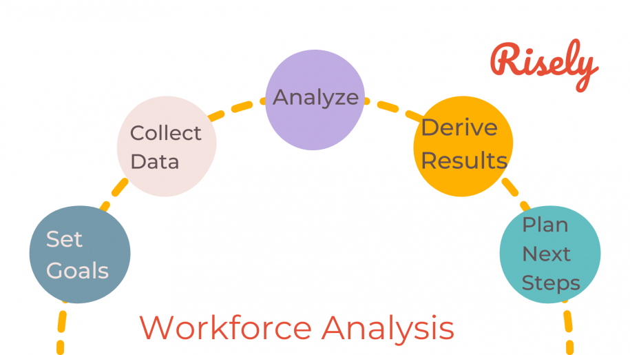 What is Workforce Analysis? Examples and Success Factors - Risely