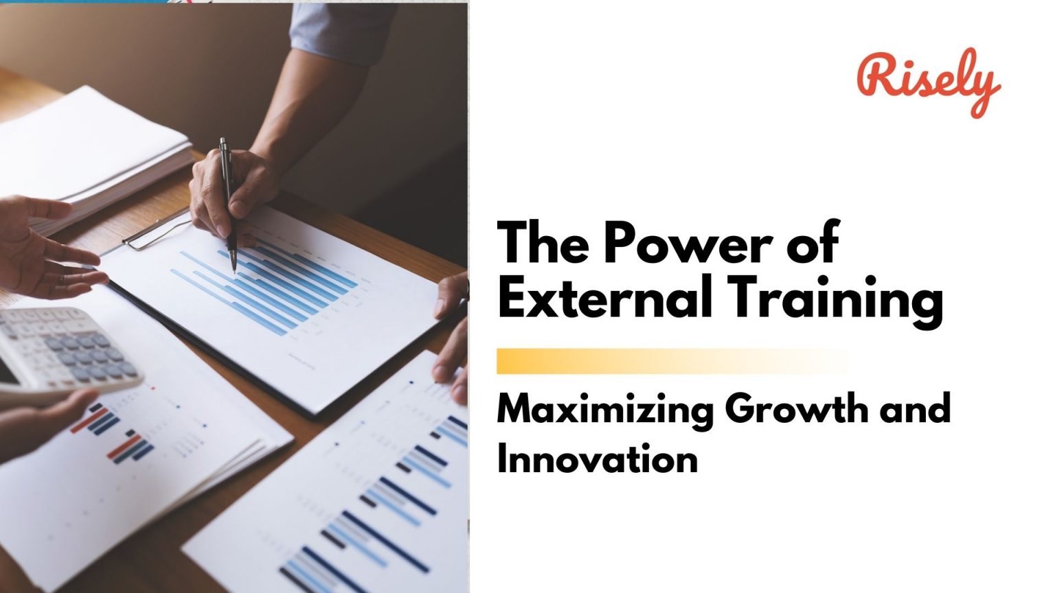 The Power of External Training: Maximizing Growth and Innovation - Risely