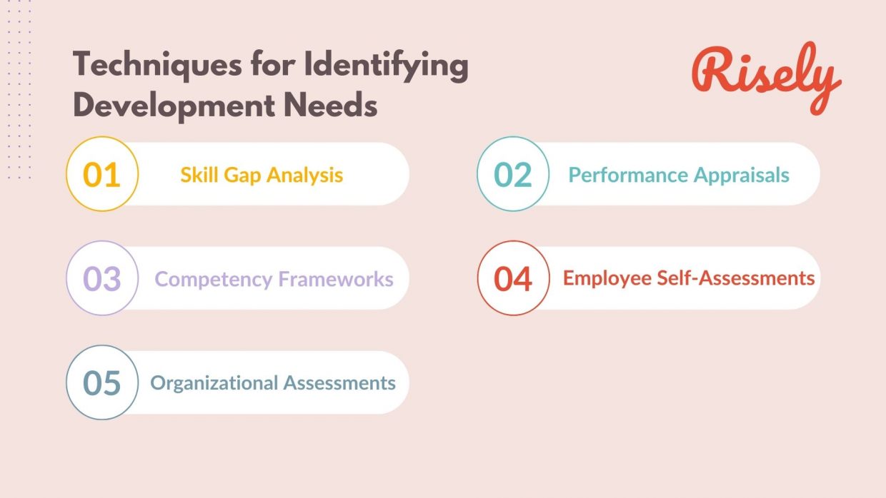 6 Solid Techniques to Identify the Development Needs of Your Team - Risely
