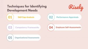 6 Solid Techniques to Identify the Development Needs of Your Team - Risely