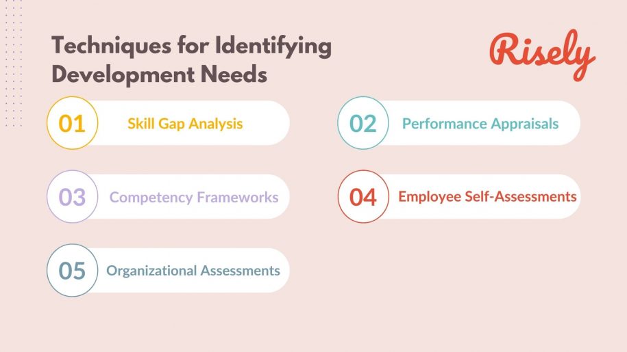 6 Solid Techniques to Identify the Development Needs of Your Team - Risely