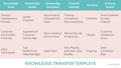 How to Craft a Winning Knowledge Transfer Plan? - Risely